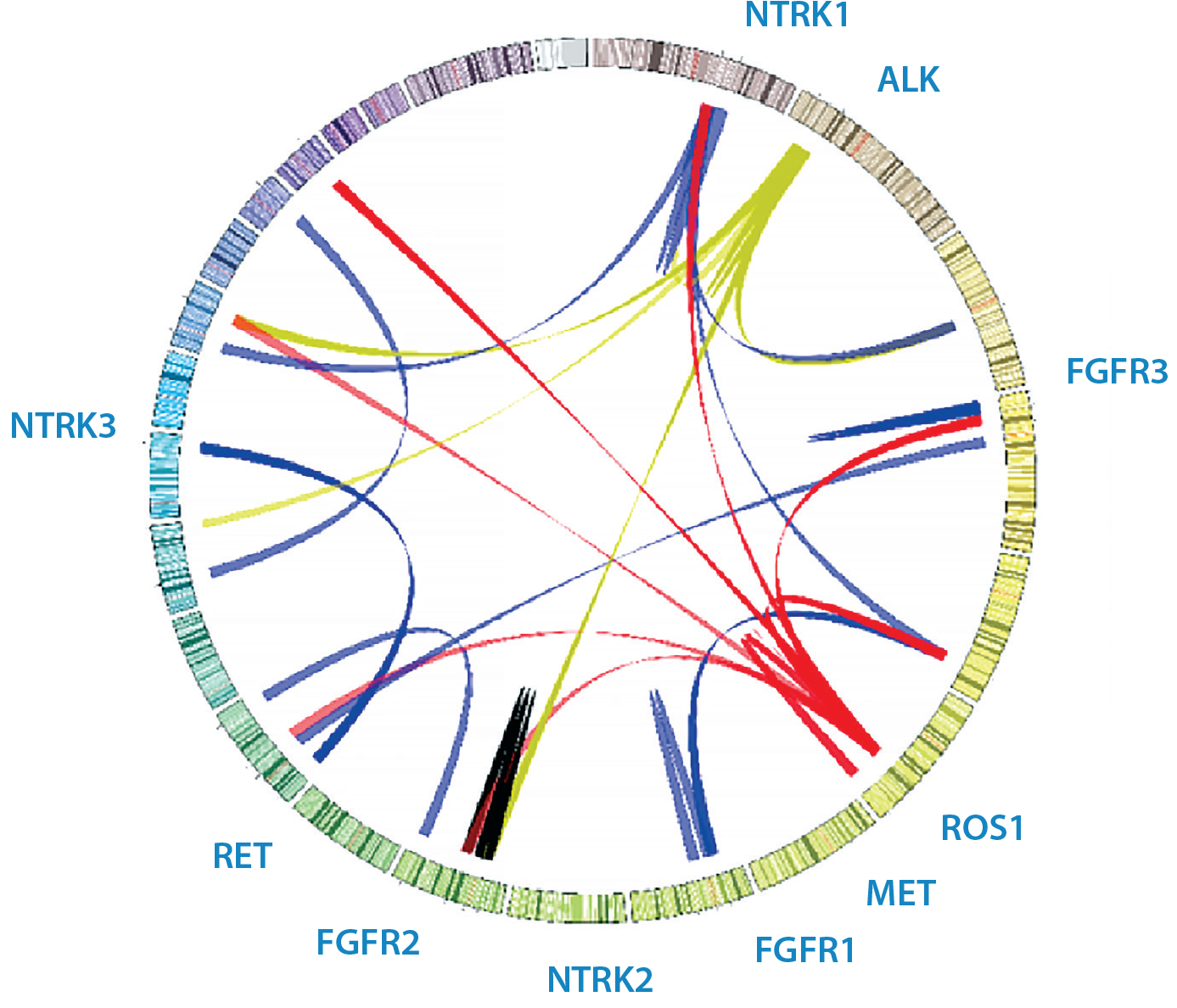 Whole Transcriptome Sequencing Caris Life Sciences
