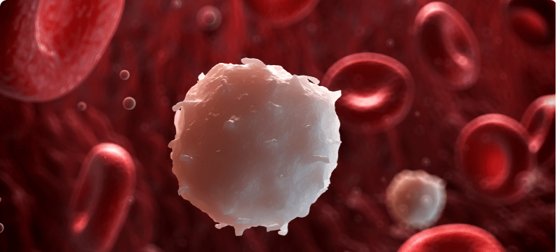 Caris Assure | Caris Life Sciences