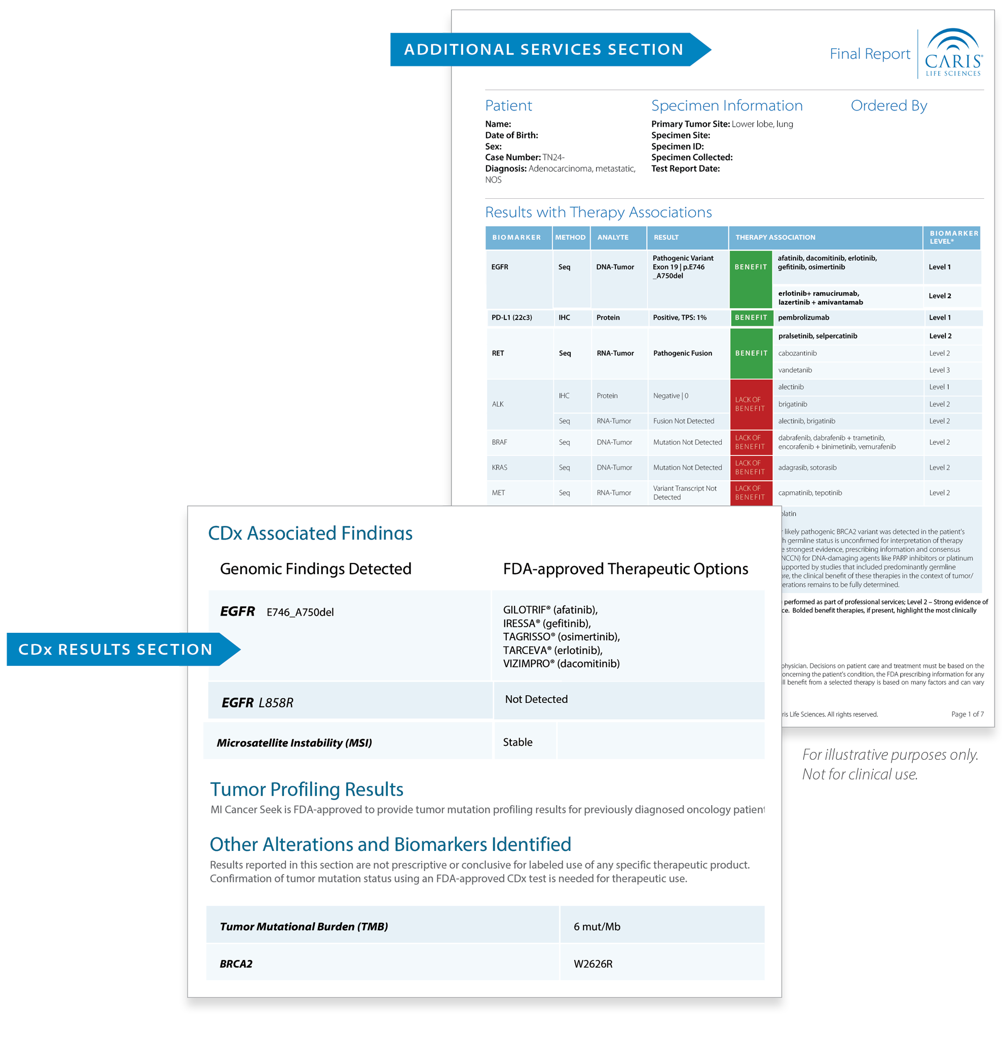 MI Cancer Seek | Caris Life Sciences
