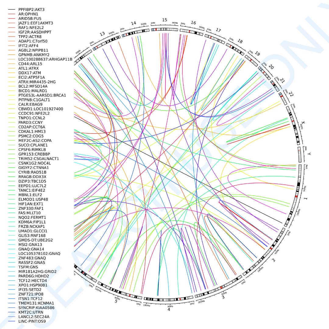 Caris QuantumAI RUO Report | Caris Life Sciences