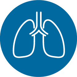 MI Cancer Seek FDA Companion Diagnostic Indications | Caris Life Sciences